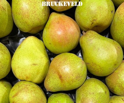 PEER Doyenné | Bruckeveld